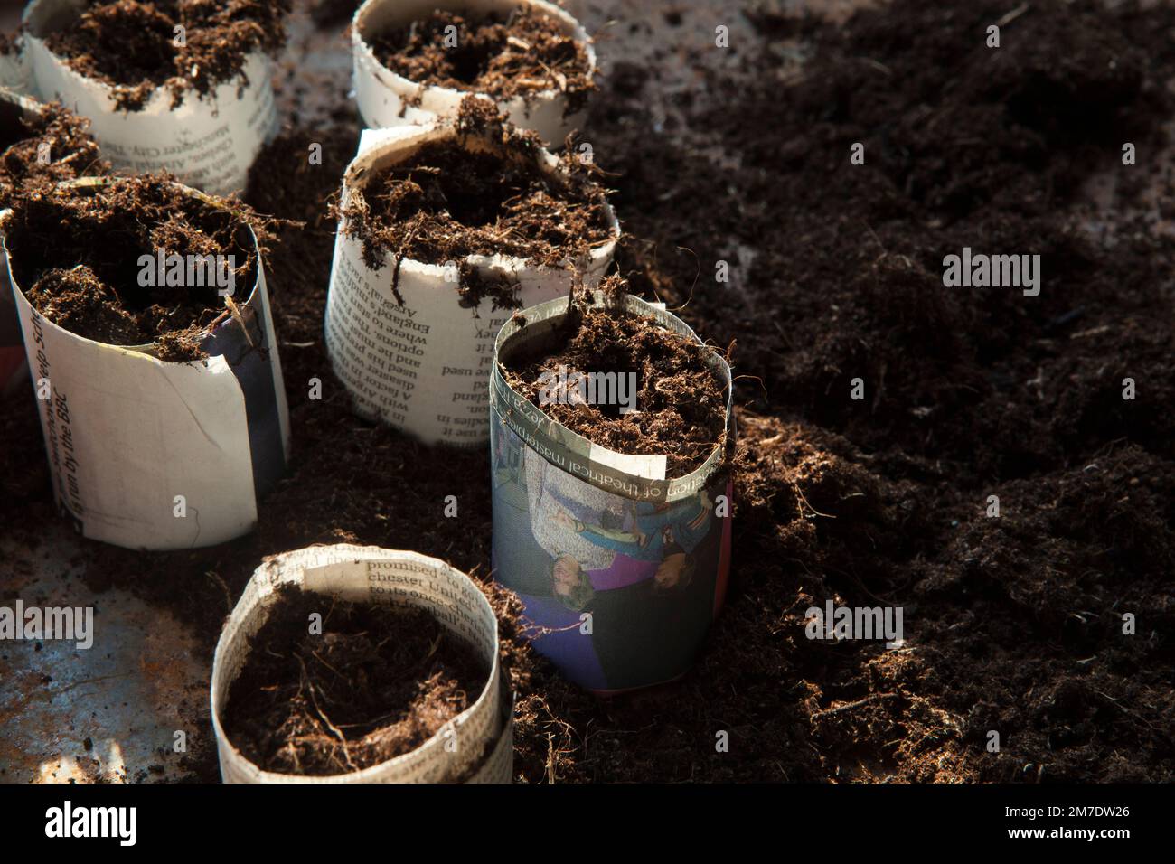 Home made plant pots for seedlings, made from old recycled newspapers ...