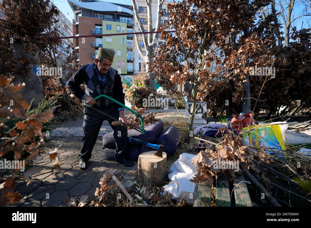A vendor, wearing a traditional Serbian hat, prepares dried oak ...