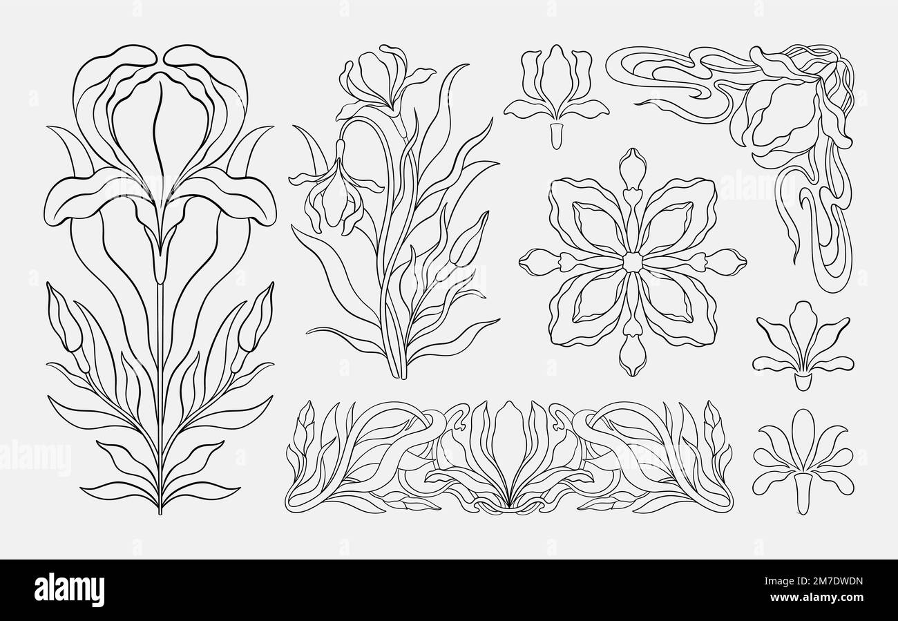 Floral iris set in art nouveau 1920-1930. Hand drawn in a linear style ...