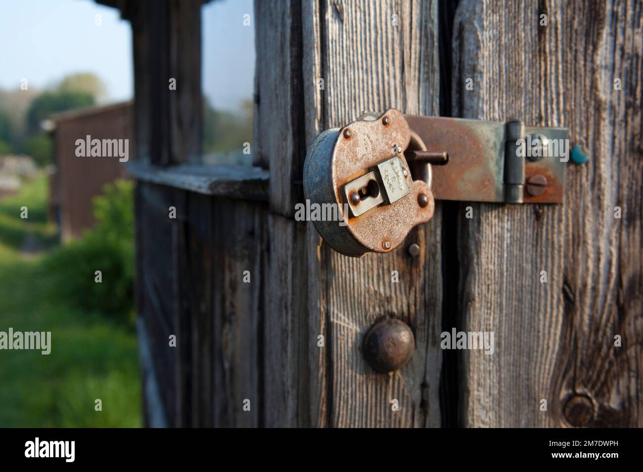 A shed on an allotment carsefully locked with an old rusty padlock ...