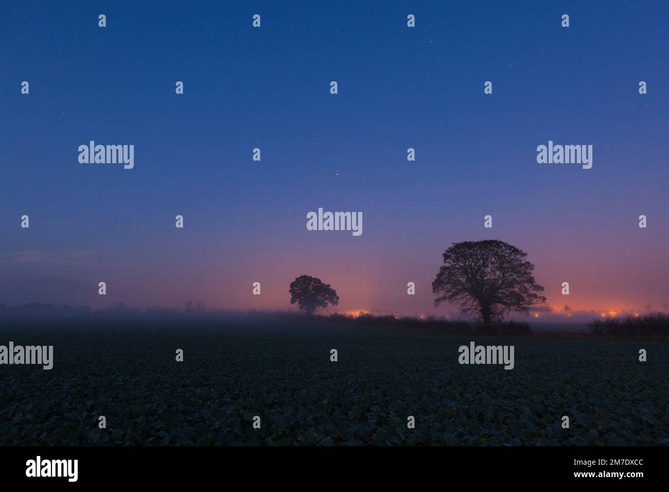 Twilight across a farm field with deep blue sky mist and trees Stock ...