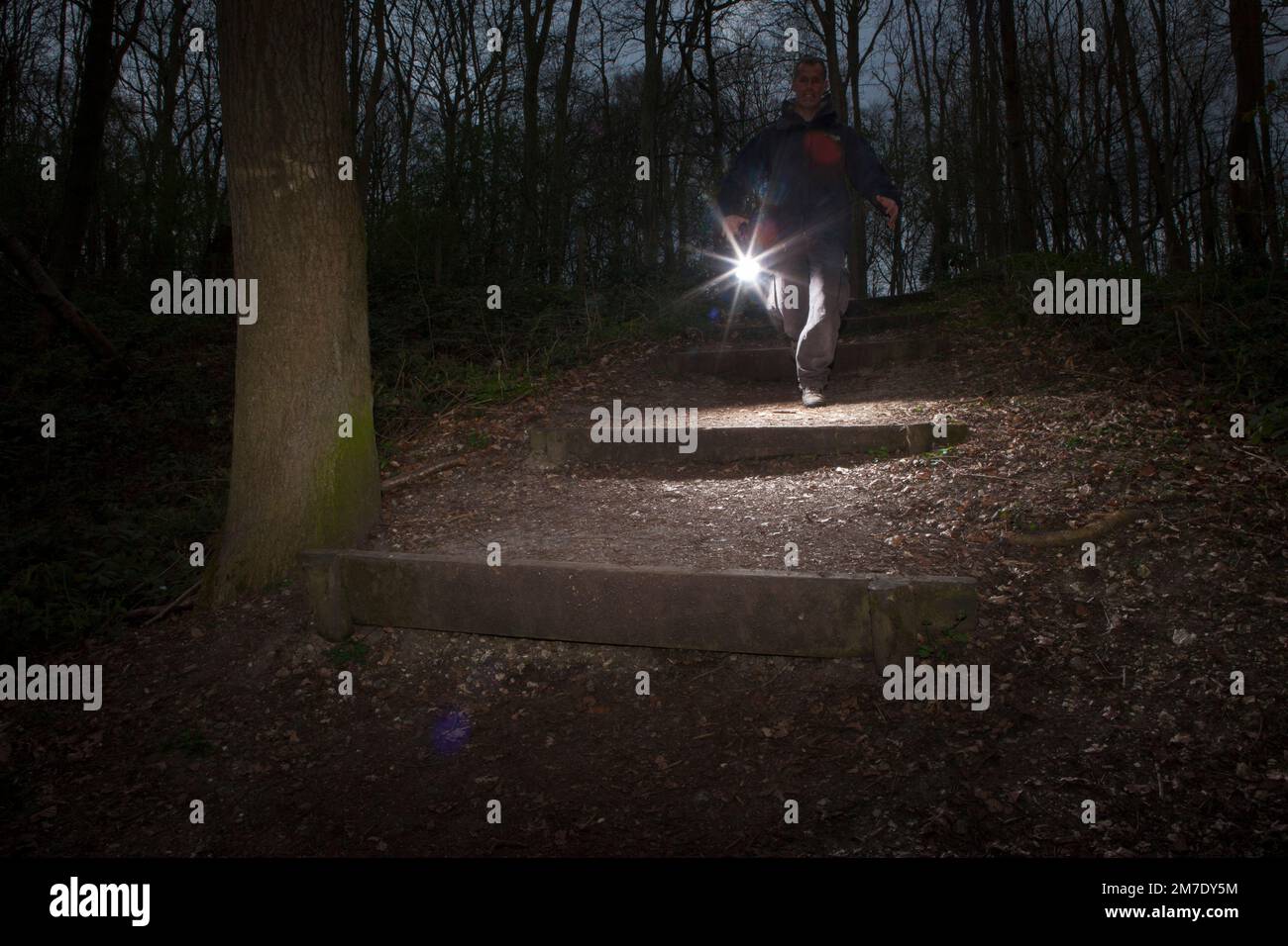 A night time walk through the National Trust area known as "The Holies ...