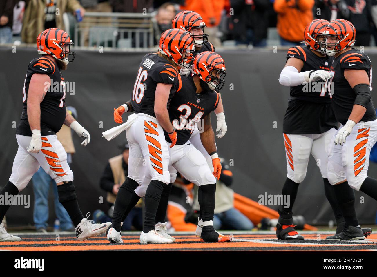 Cincinnati Bengals running back Samaje Perine (34) celebrates with ...