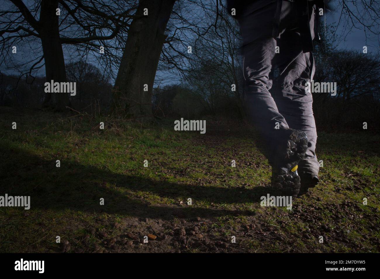 A night time walk through the National Trust area known as "The Holies ...