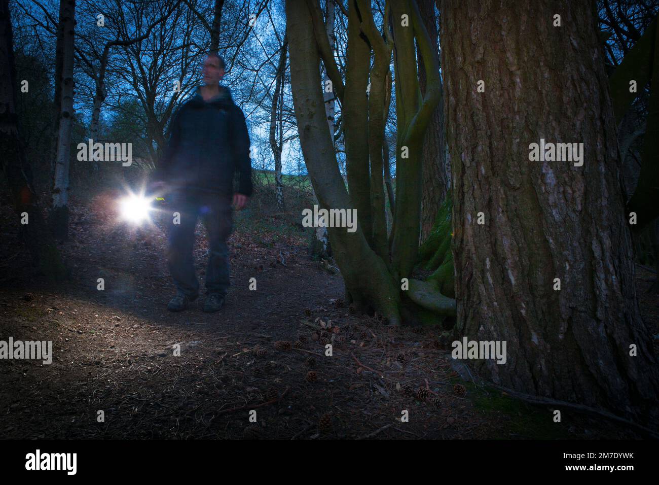 A night time walk through the National Trust area known as "The Holies ...