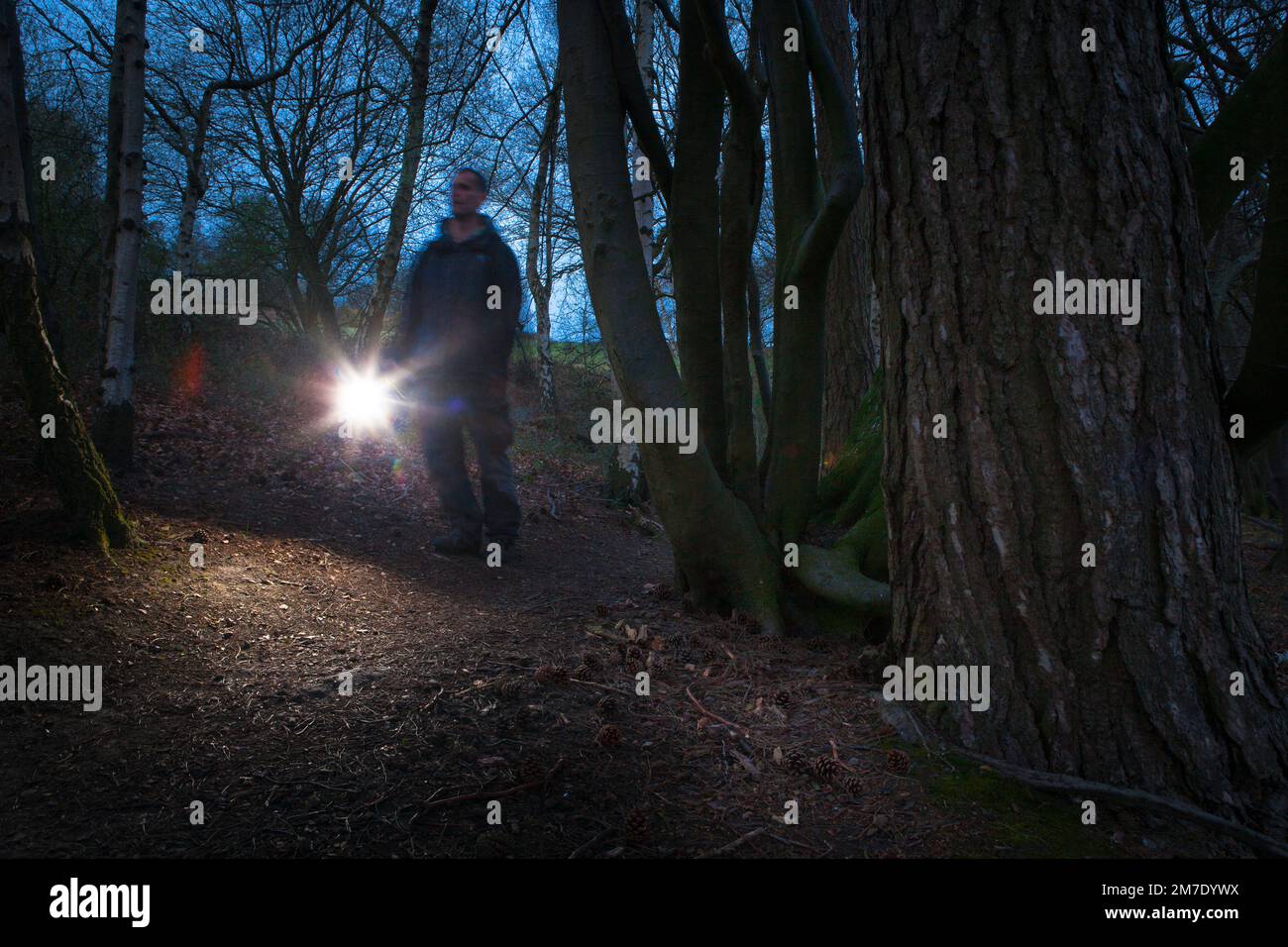 A night time walk through the National Trust area known as "The Holies ...