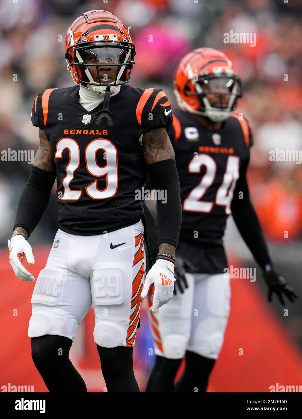 Cincinnati Bengals' Cam Taylor-Britt (29) and Vonn Bell (24) play ...