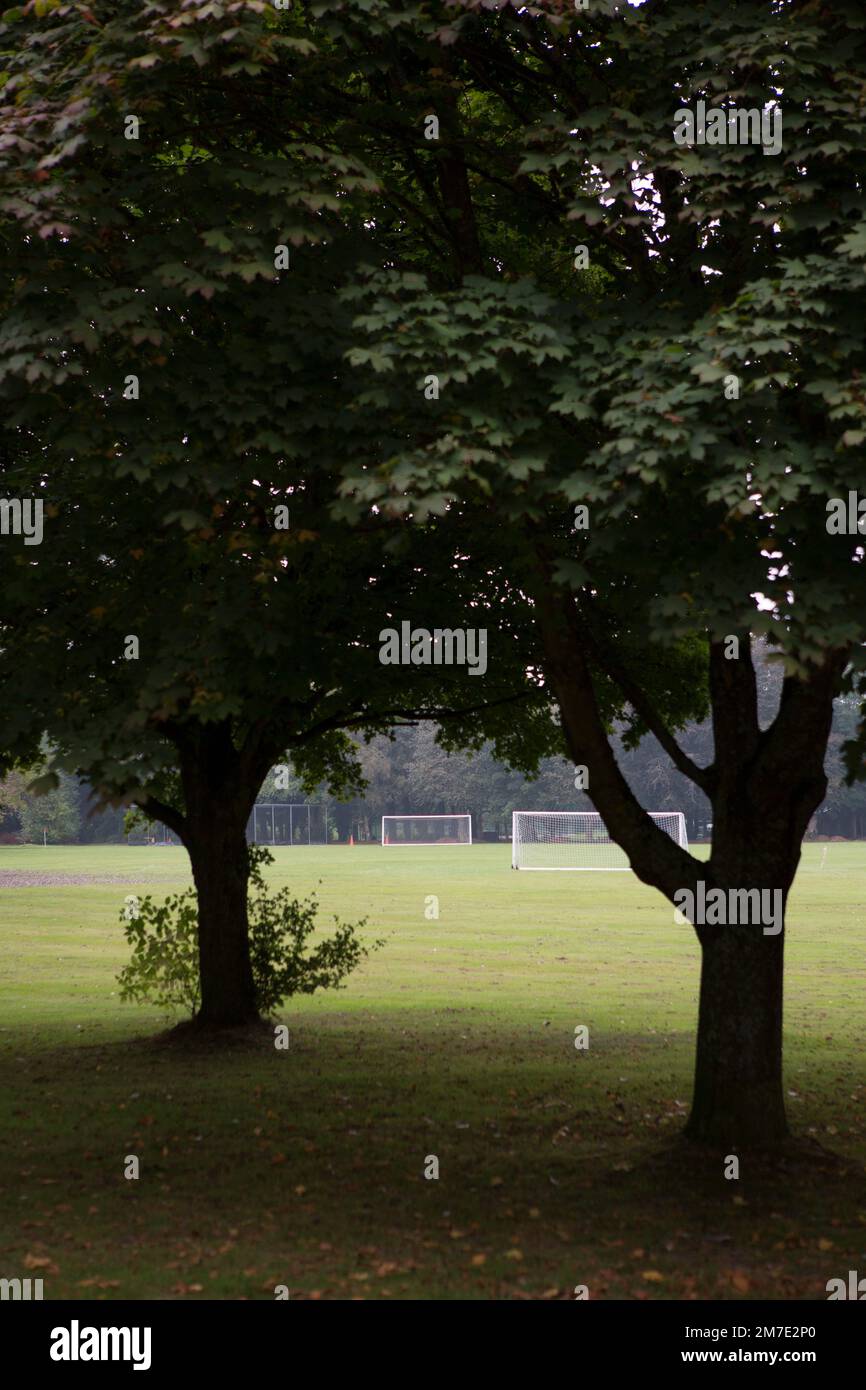 Empty sport fields hi-res stock photography and images - Alamy