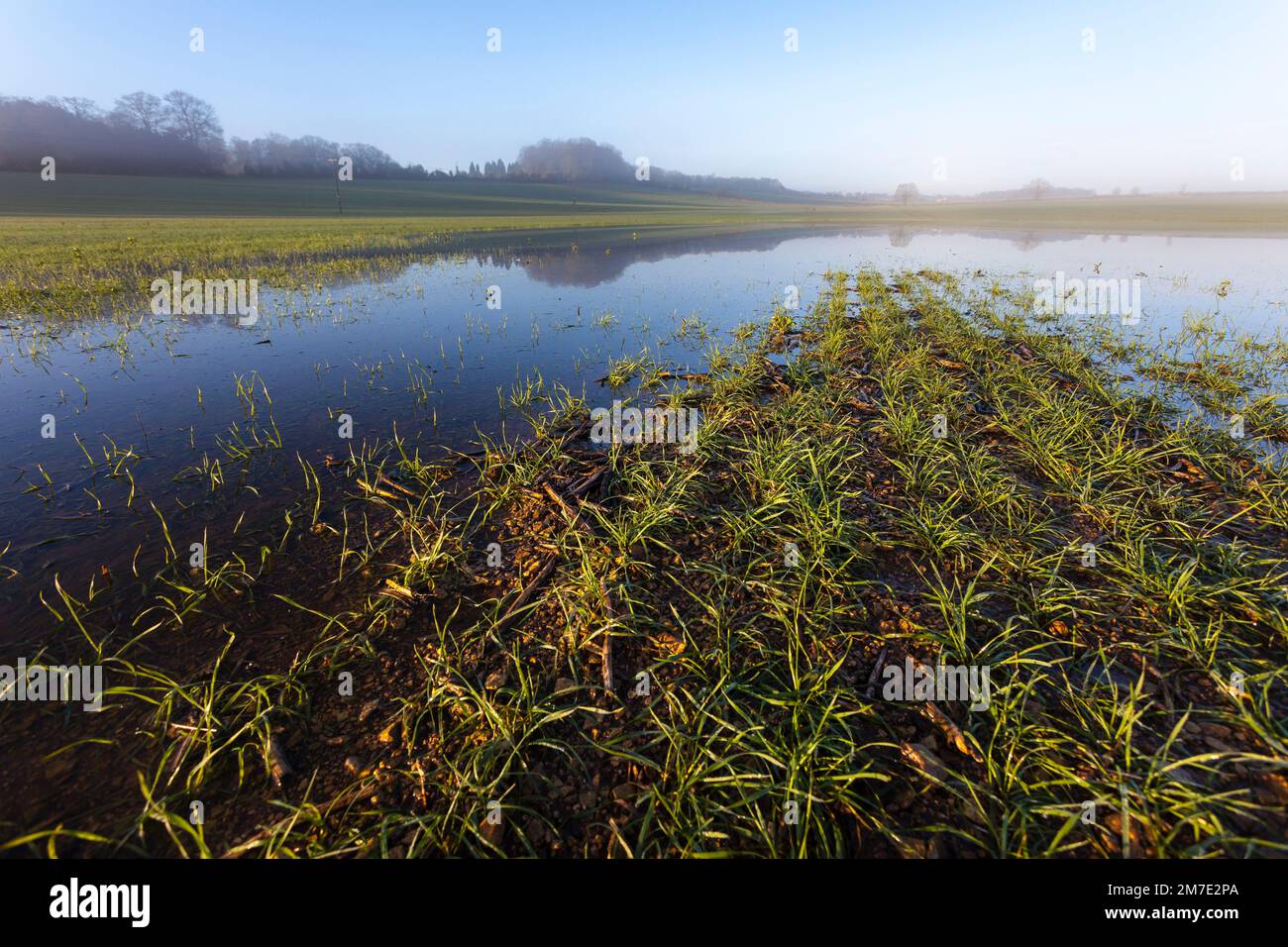 Rain flooded farm field crop hi-res stock photography and images - Alamy