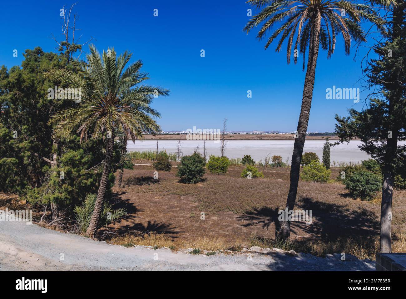 Larnaca Salt Lake also known as Akrotiri Salt Lake in Larnaca city ...