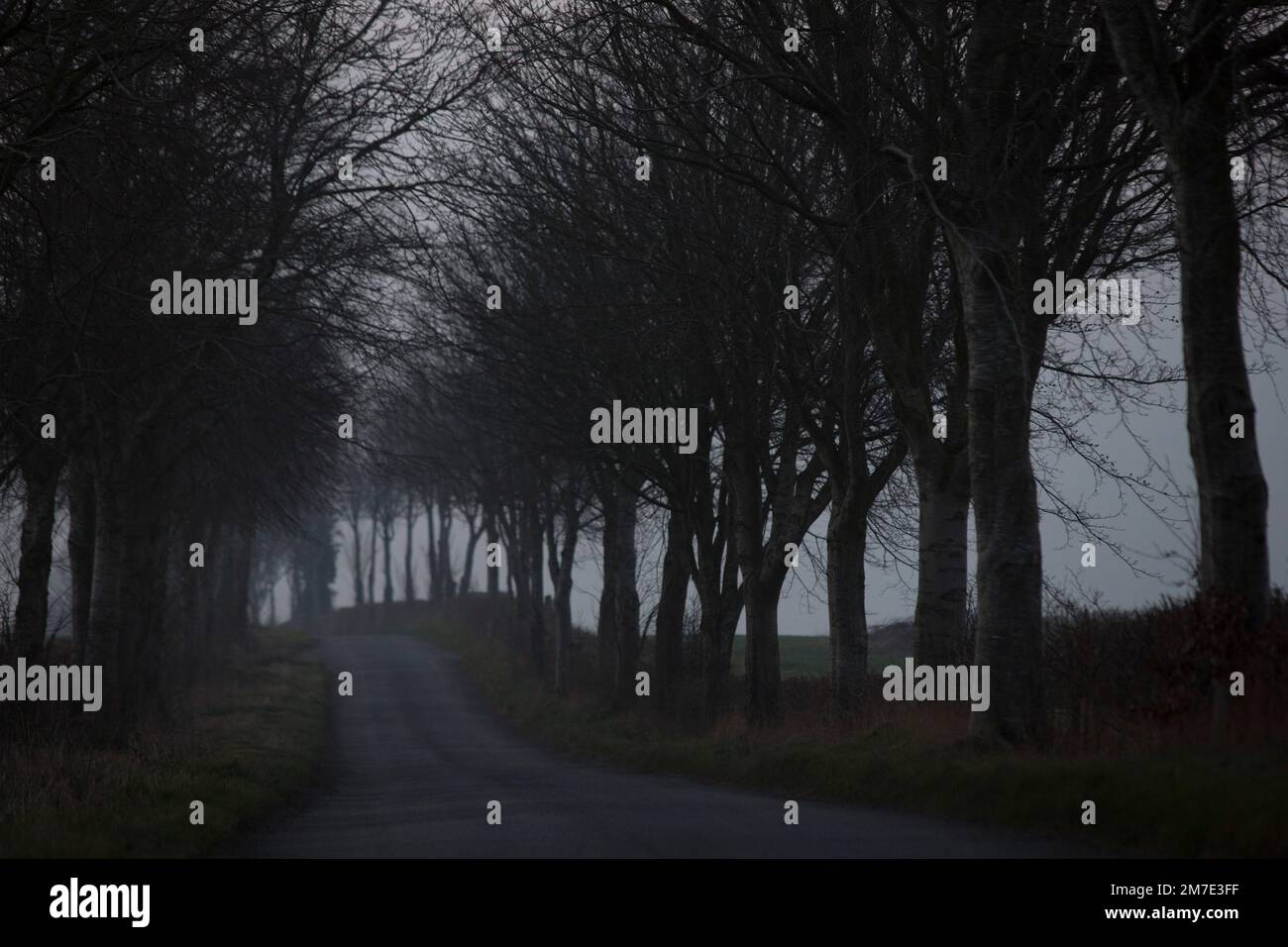 Dull light hi-res stock photography and images - Alamy