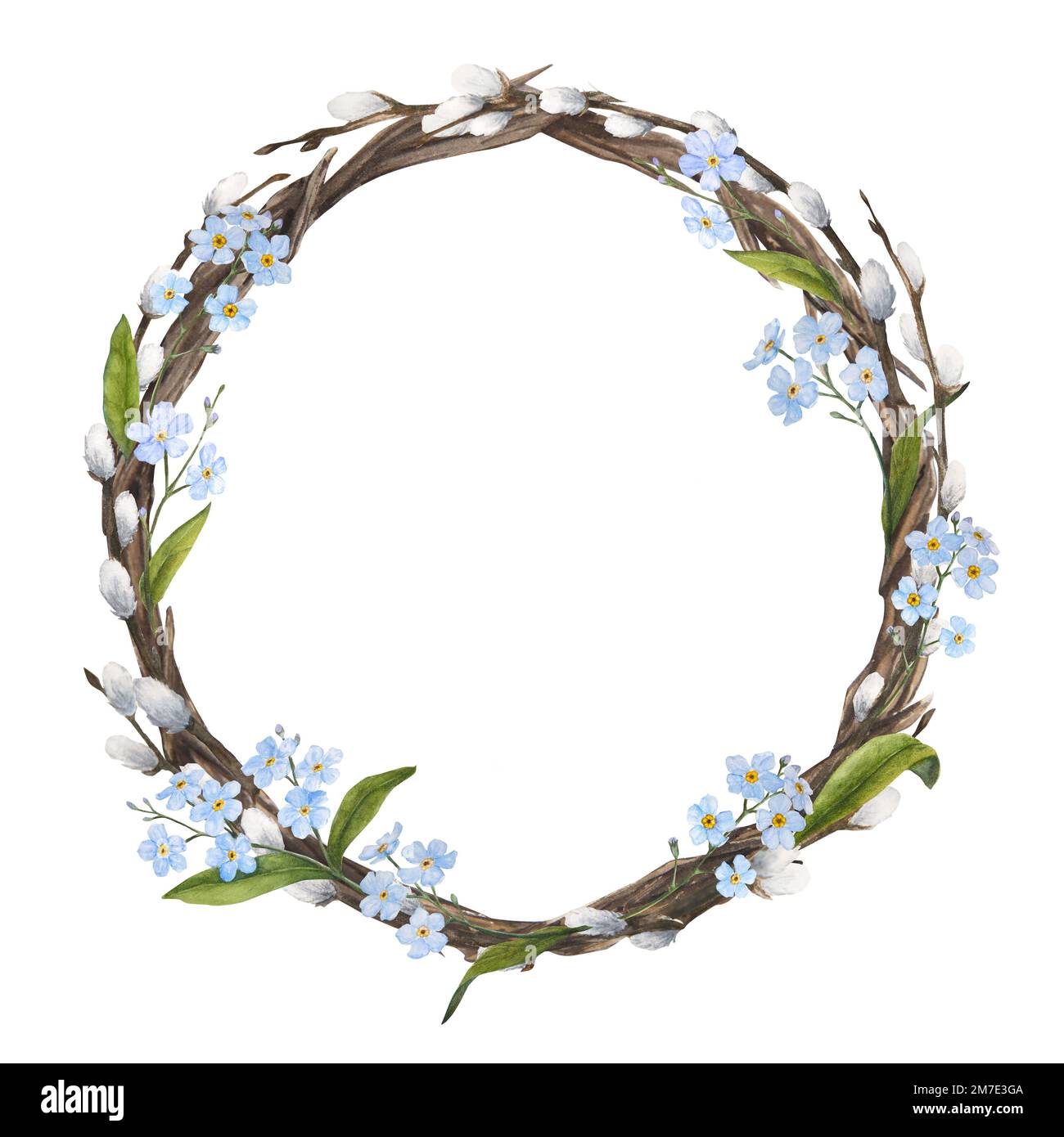 Watercolor illustration of a wreath with forget-me-nots and pussy ...