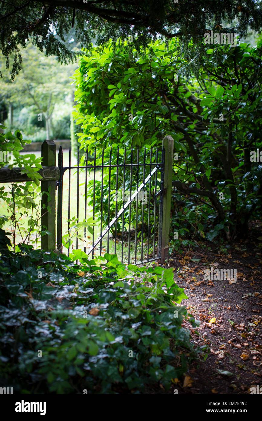 Old metal garden gate covered by trees with pathway Stock Photo - Alamy