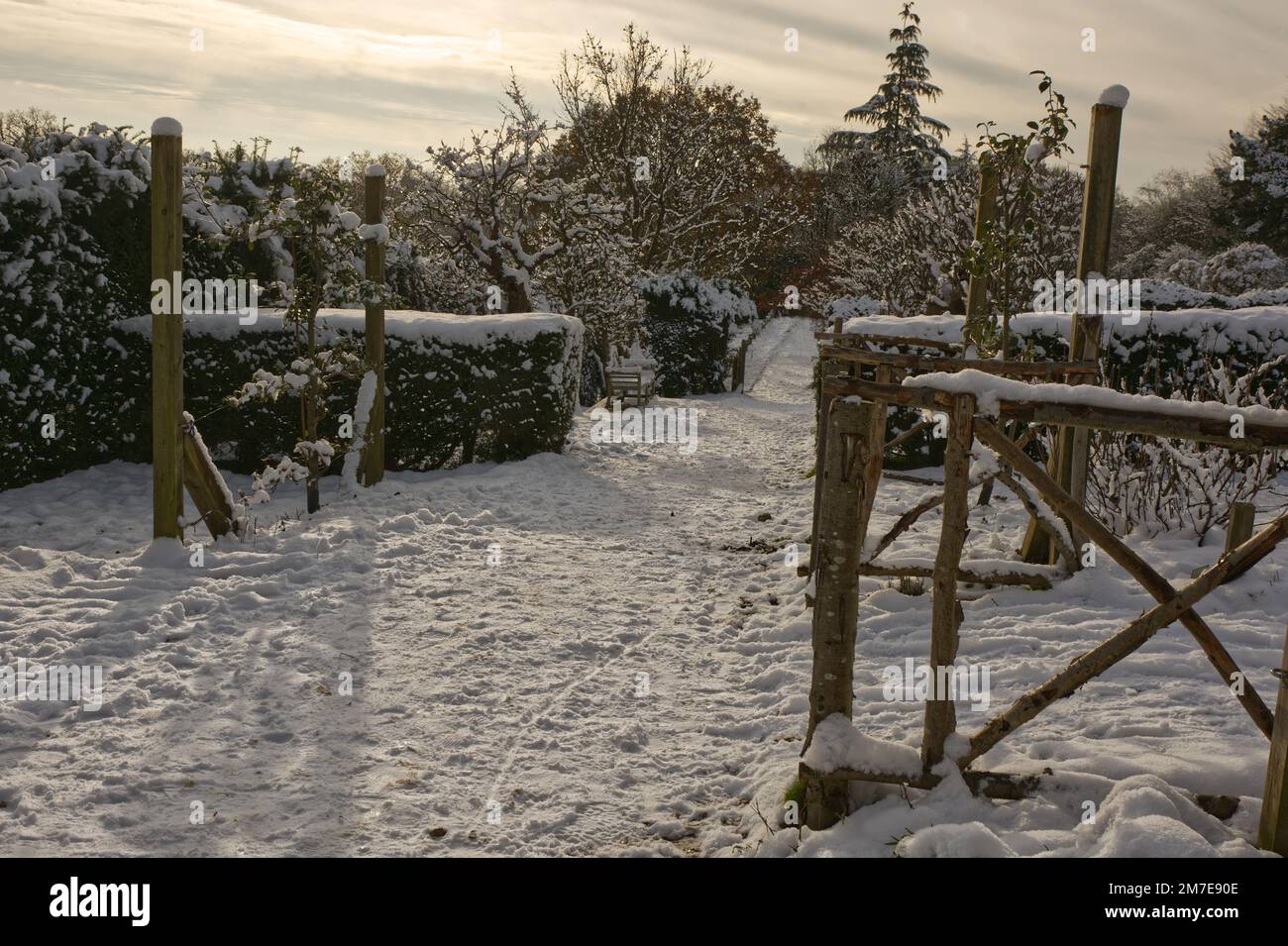 Landscape covered in snow with hedging and fencing. Sussex, England ...