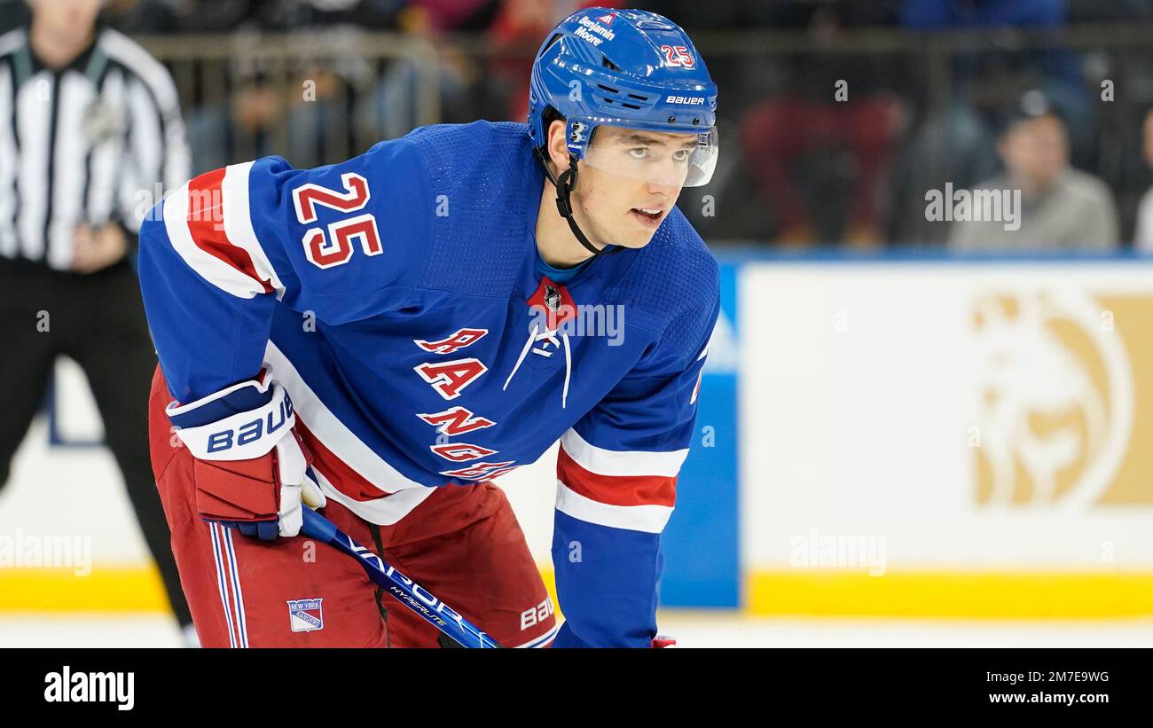 New York Rangers defenseman Libor Hajek during the first period of an ...