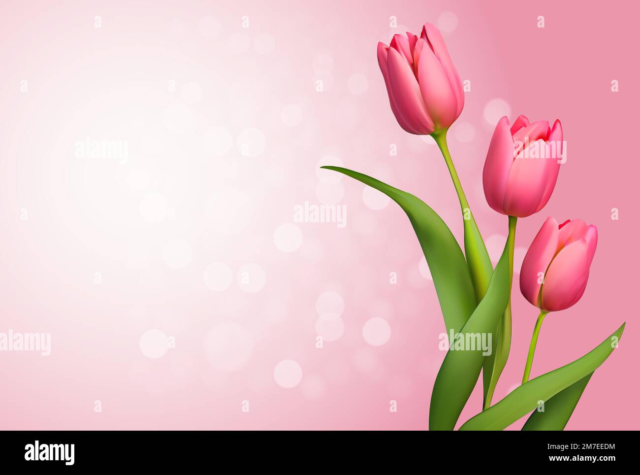 Spring Background with Realistic Tulip Flowers. Vector Illustration ...