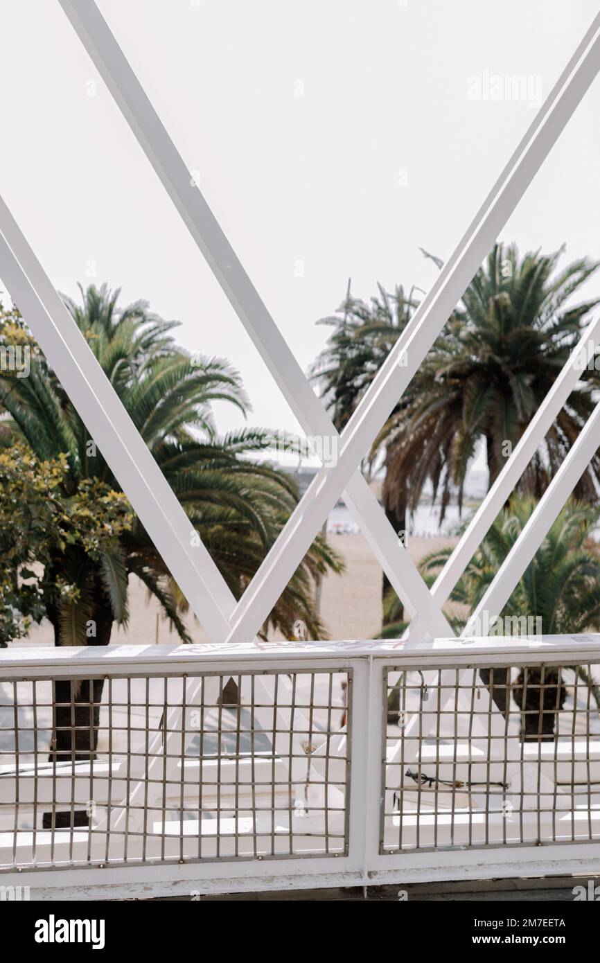 A vertical shot of palm trees at a sandy beach on a sunny day Stock ...