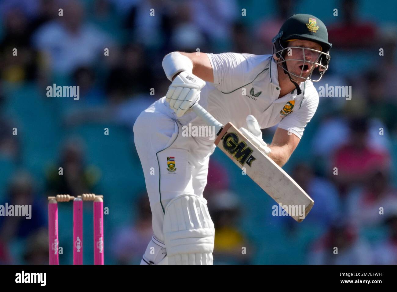 South Africa's Sarel Erwee is struck by delivery from Australia's Pat ...