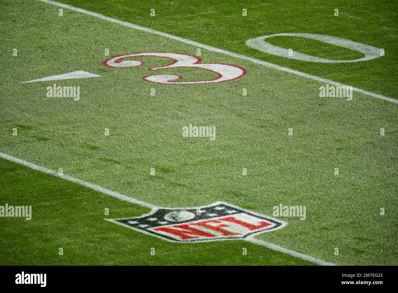 The 3 in the 30 yard marker is outlined in red in support of Buffalo ...