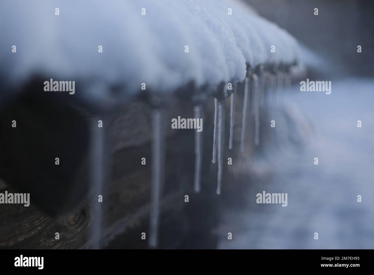 Spring background with icicles melting in the sun. Icicles close-up. Snow melting. Rustic scene ...