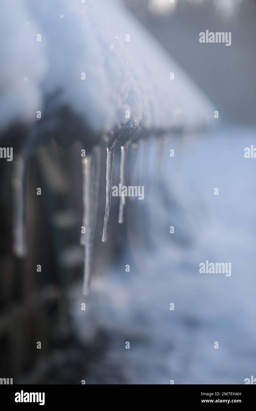 Spring background with icicles melting in the sun. Icicles close-up ...