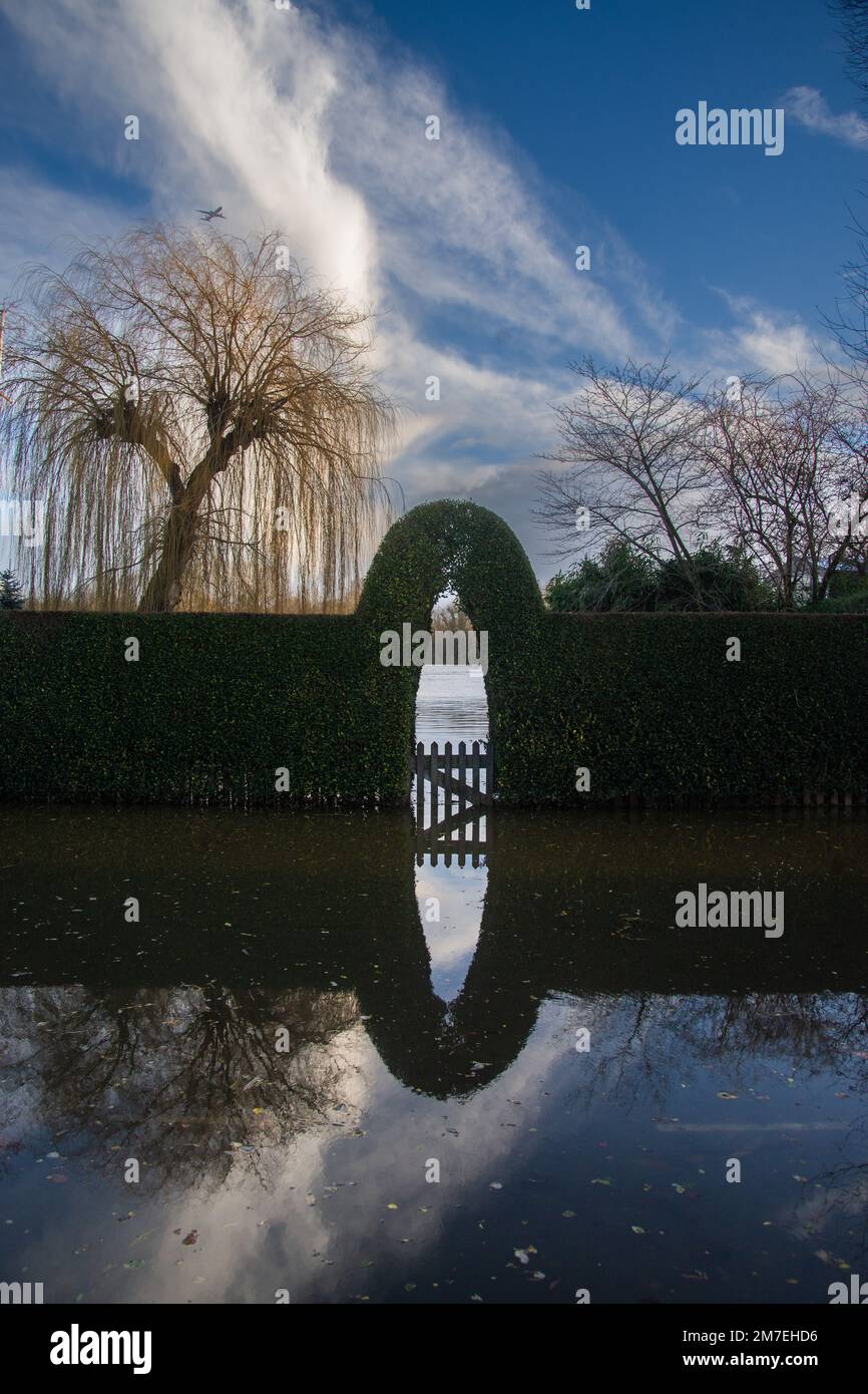 London, UK. 9th Jan, 2023. Chiswick Mall submerged by Exceptionally ...