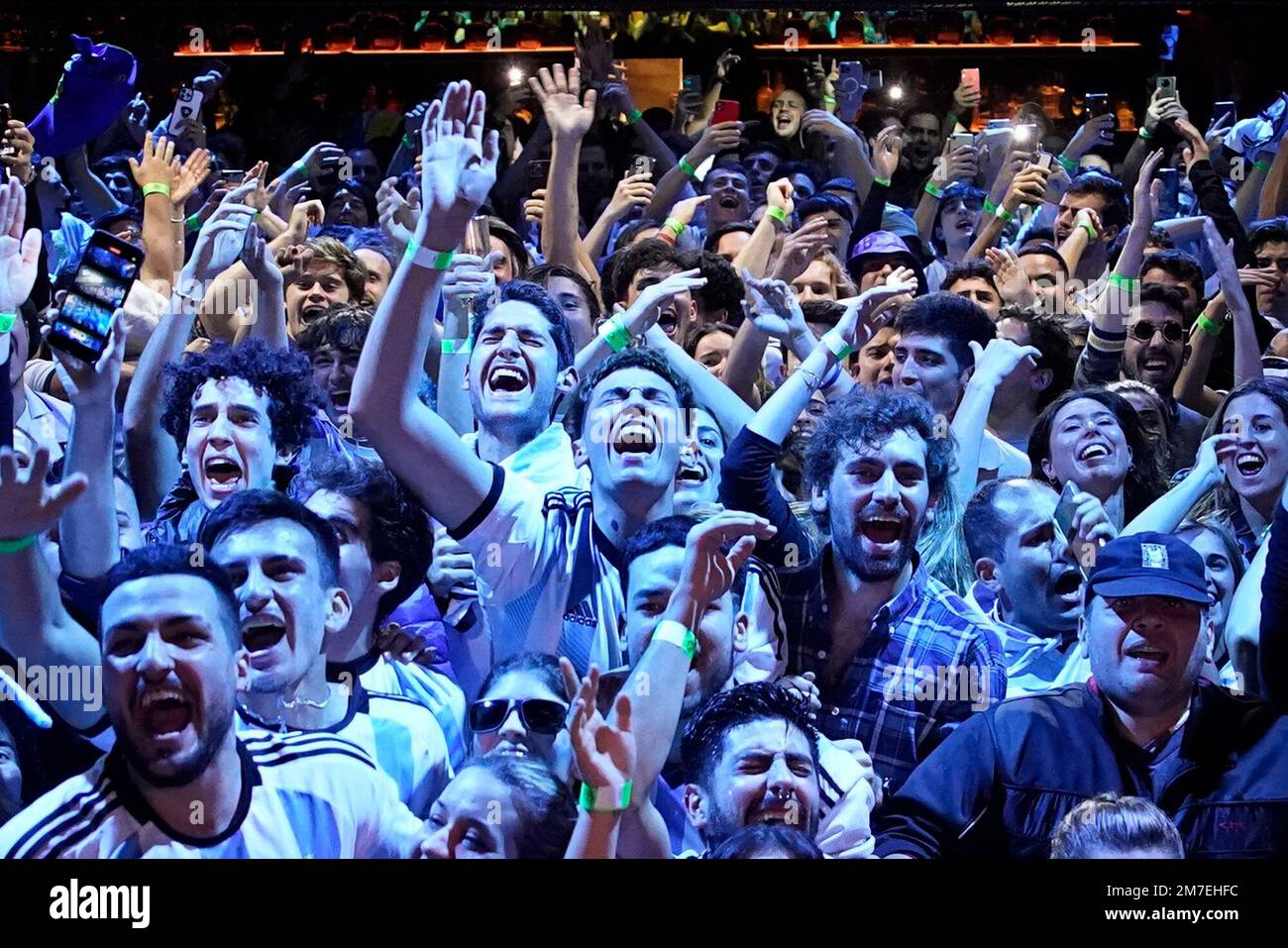 Argentina fans celebrate watching the screen in a bar in Madrid, Spain ...