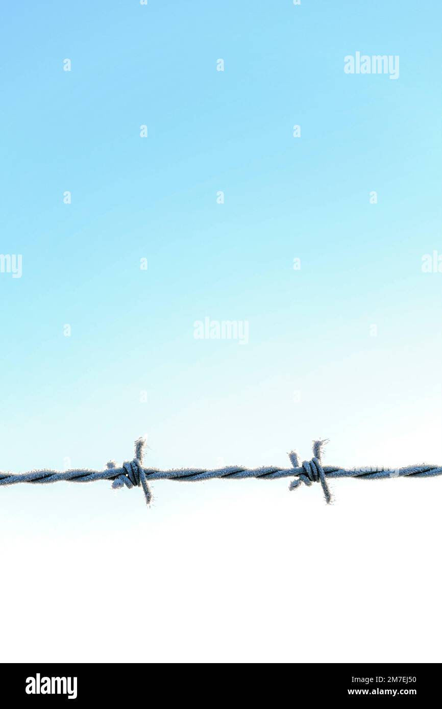Frost crystals cover a length of barbed wire on a winter morning Stock ...