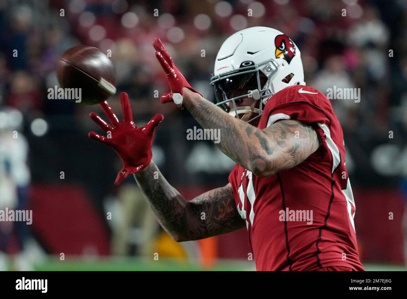 Arizona Cardinals wide receiver Robbie Anderson (81) warms up before an ...