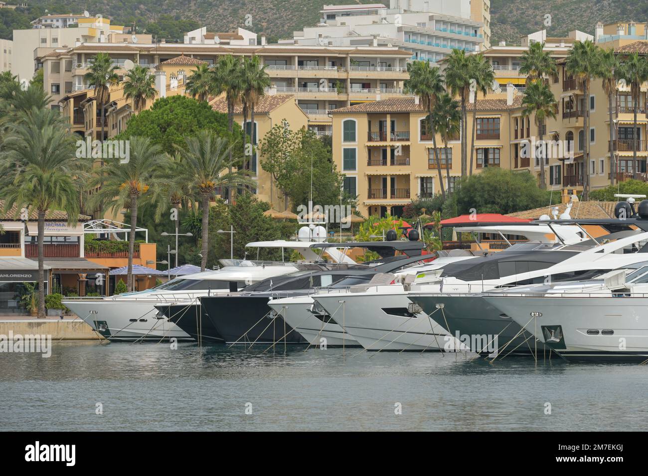 Yachthafen puerto portals hi-res stock photography and images - Alamy