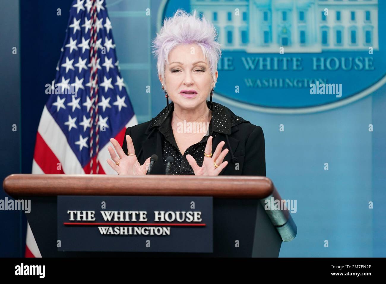 Singer Cyndi Lauper speaks during a press briefing at the White House ...