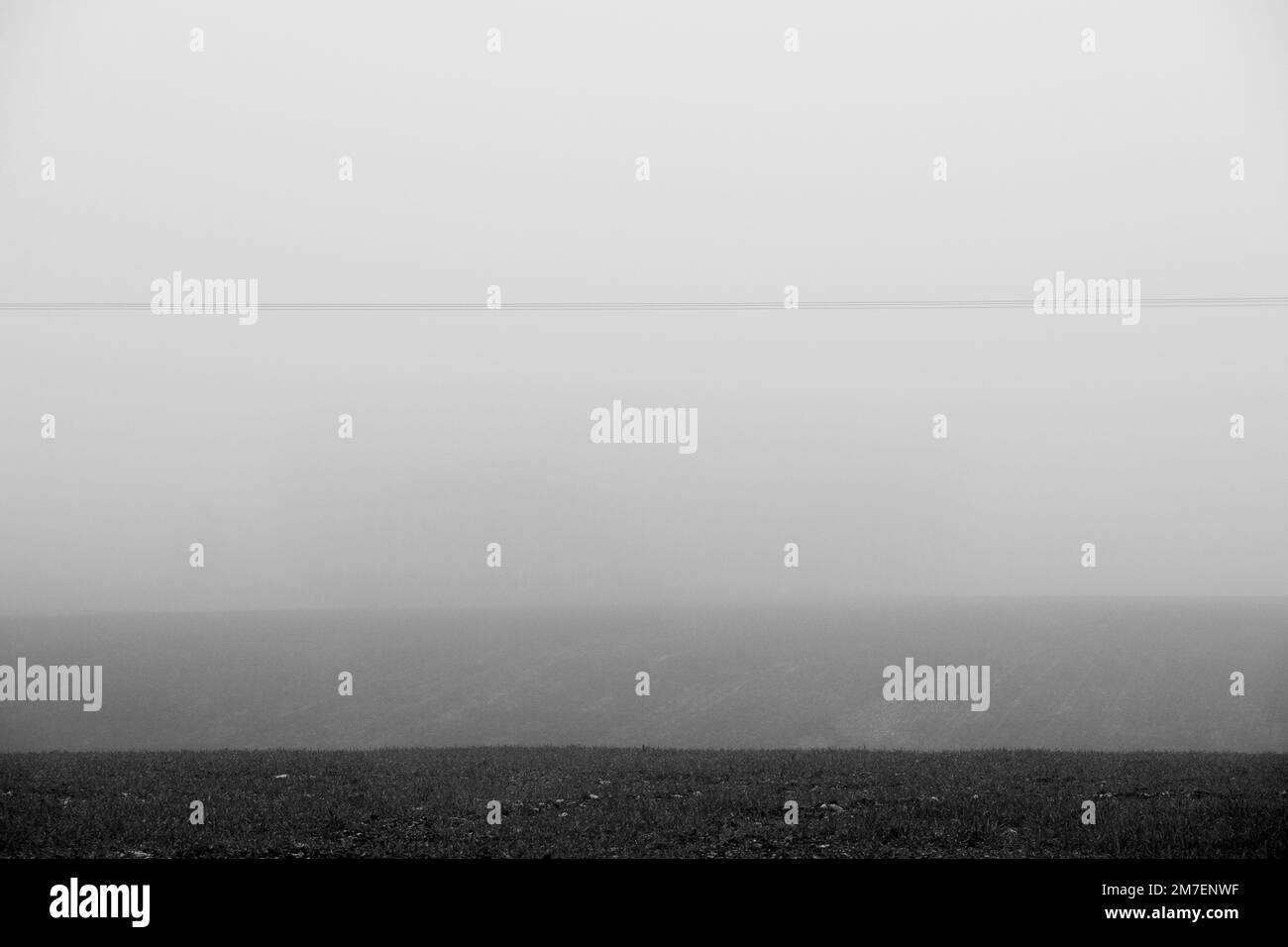 Trees standing in a rural farmers field in the mist Stock Photo - Alamy