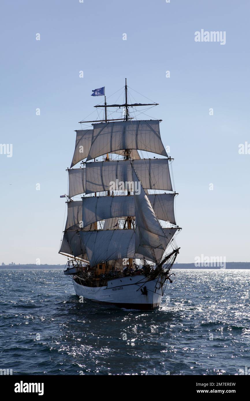 Barque Picton Castle, race start off Sydney, 2013 Stock Photo - Alamy