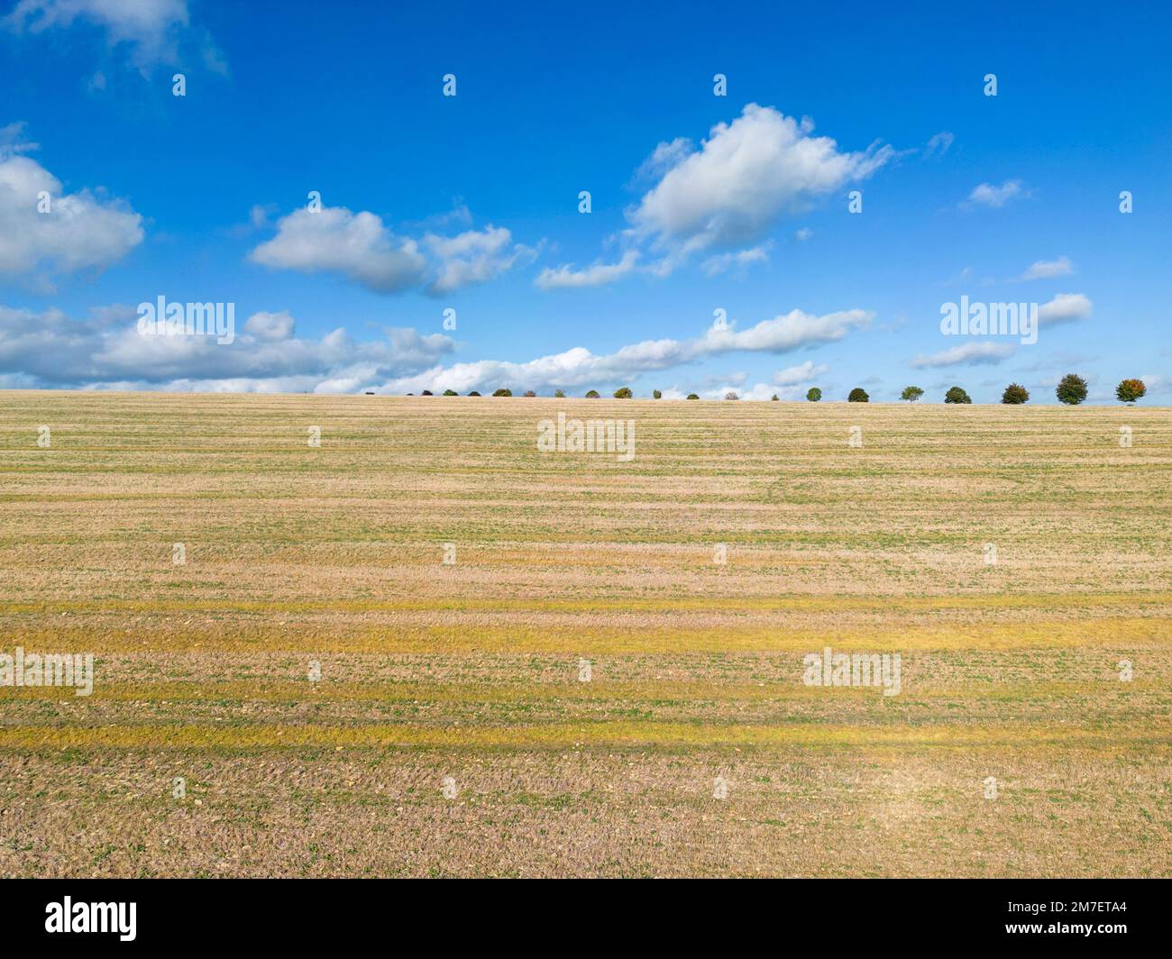 Lineear hi-res stock photography and images - Alamy