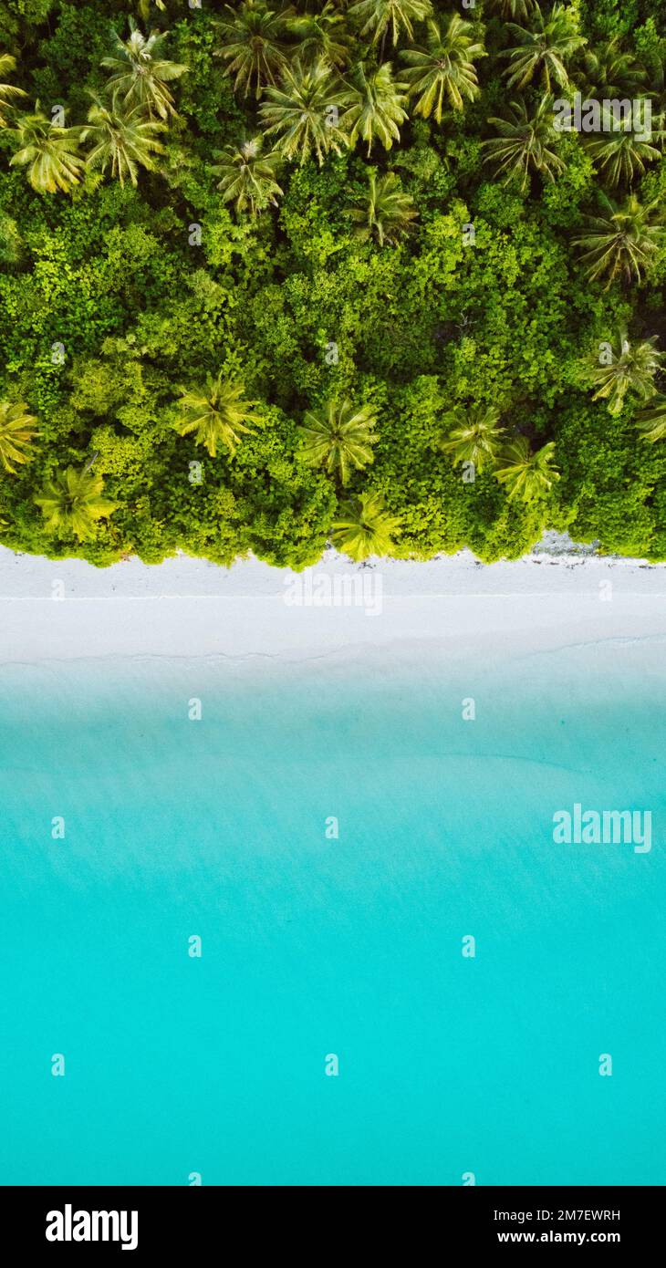 This is an photo of forest with sea Stock Photo - Alamy