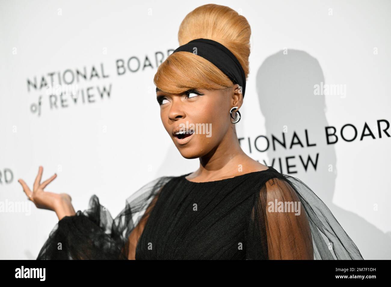 Janelle Monae attends the National Board of Review Awards Gala at ...