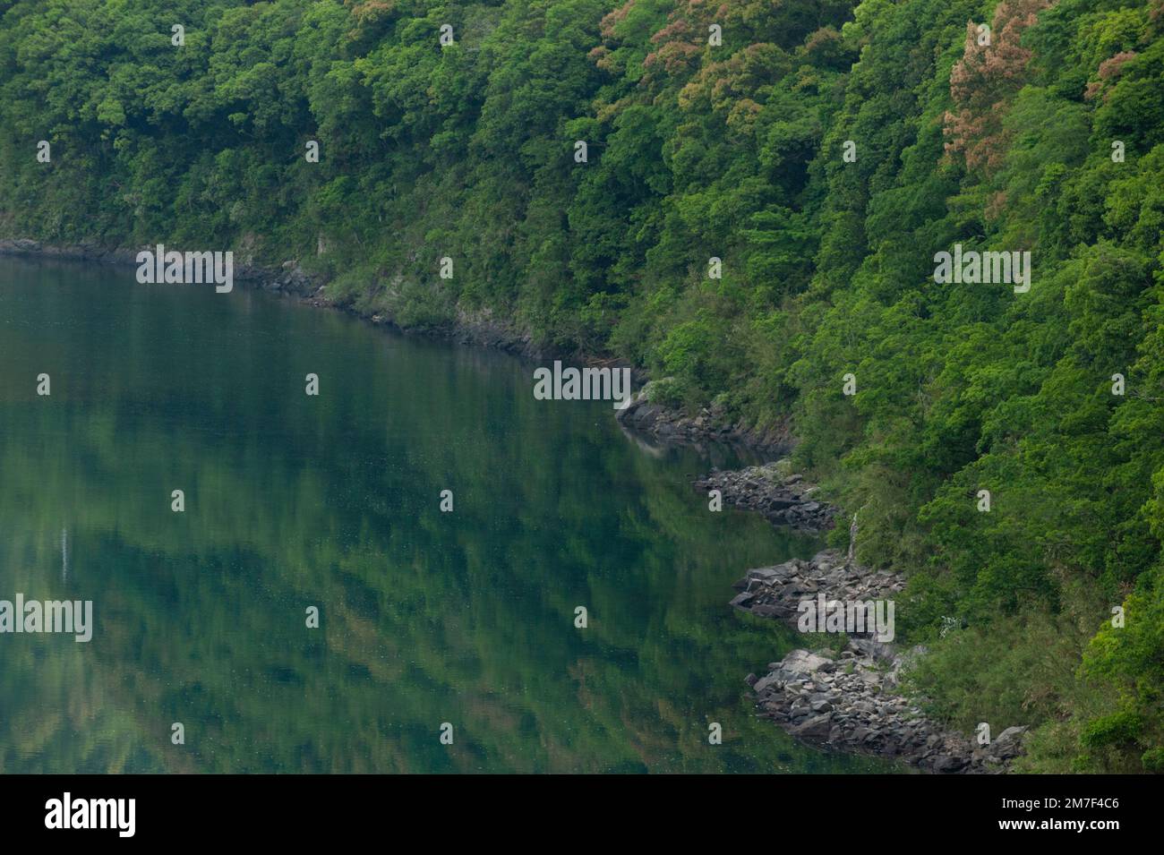 Morning reflections on the Shimanto River, one of Japan’s last undammed ...