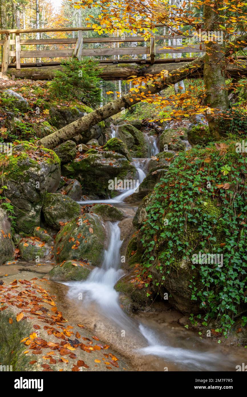 Rehbachklamm gorge near Scheffau, Wilder Kaiser mountains, Tyrol ...