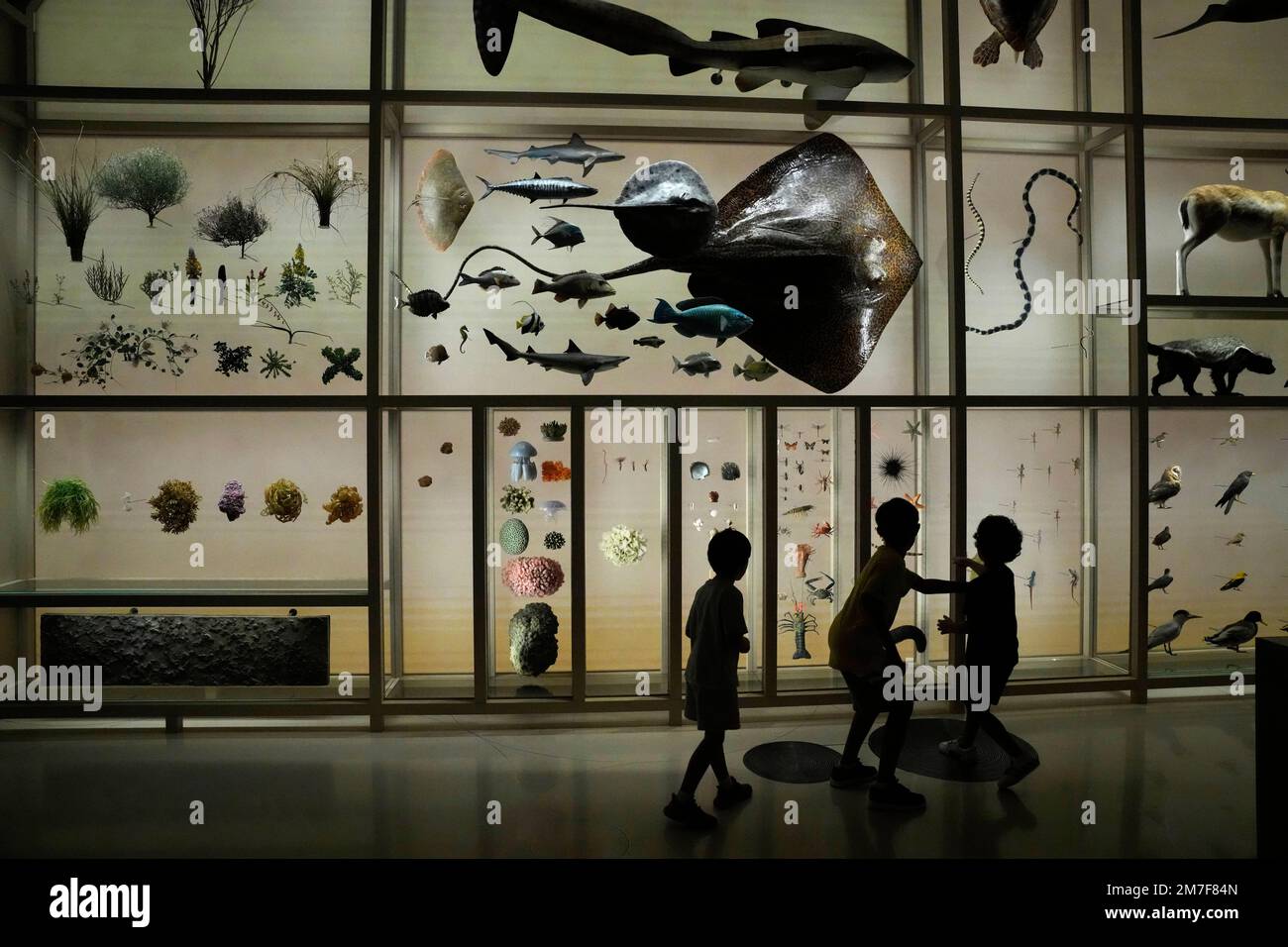 Children play during a visit to Qatar National Museum, in Doha, Qatar ...