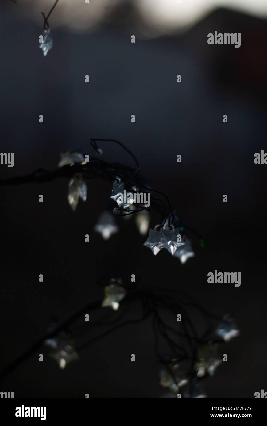 Star figures in sunset light Stock Photo - Alamy