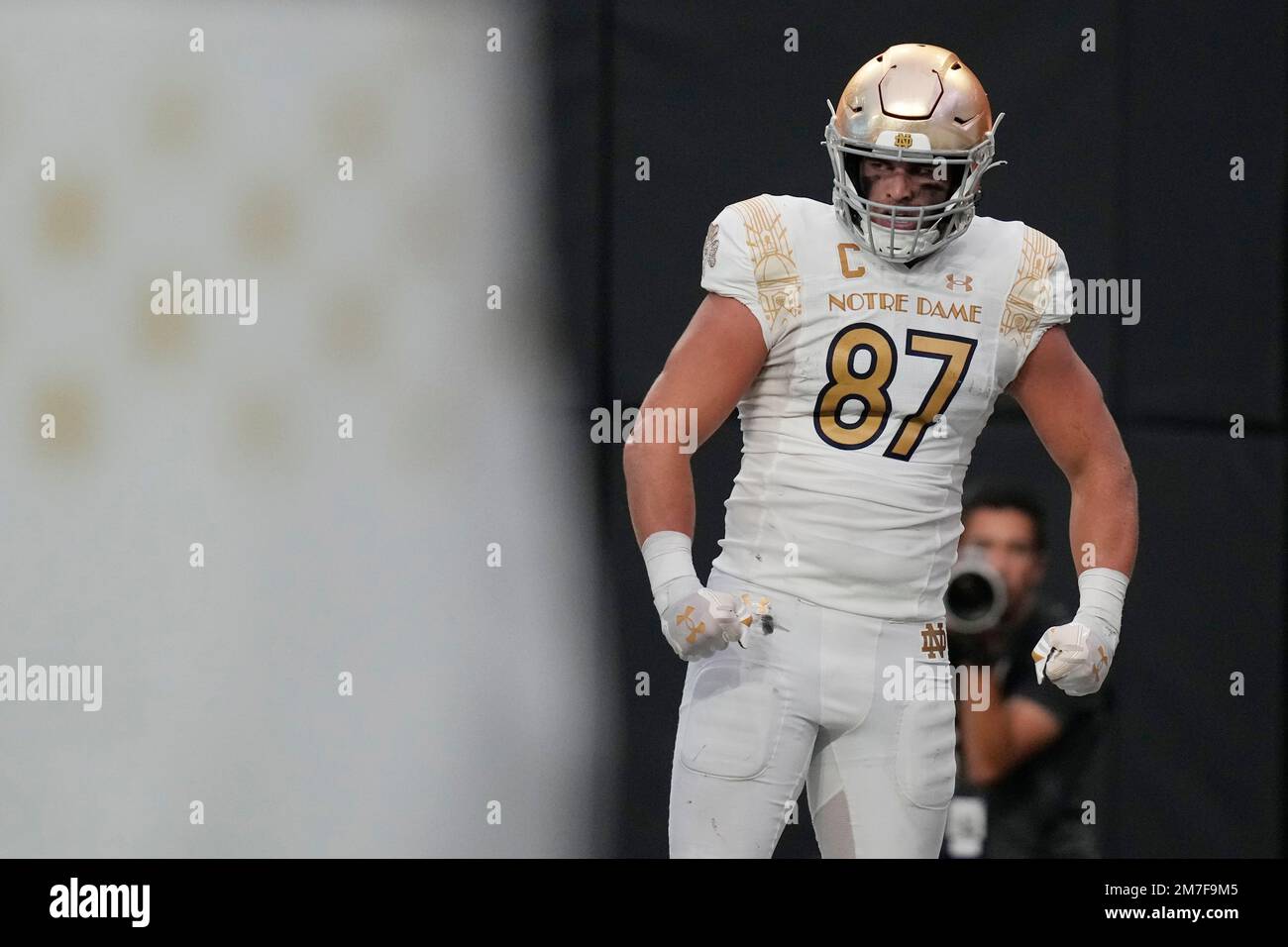 FILE - Notre Dame tight end Michael Mayer (87) celebrates after scoring ...