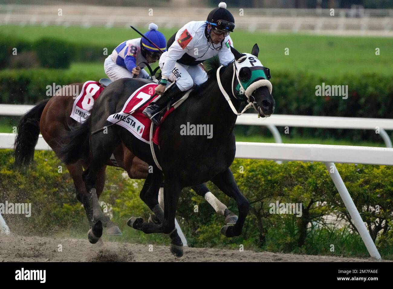 Jockey Lorenzo Lezcano and Iniesta compete in an International ...