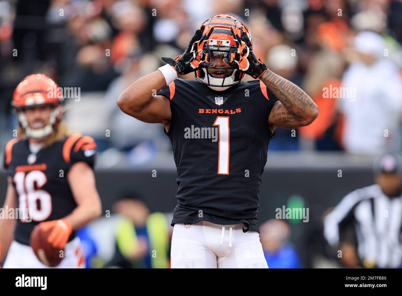 Cincinnati Bengals wide receiver Ja'Marr Chase (1) celebrates after he ...