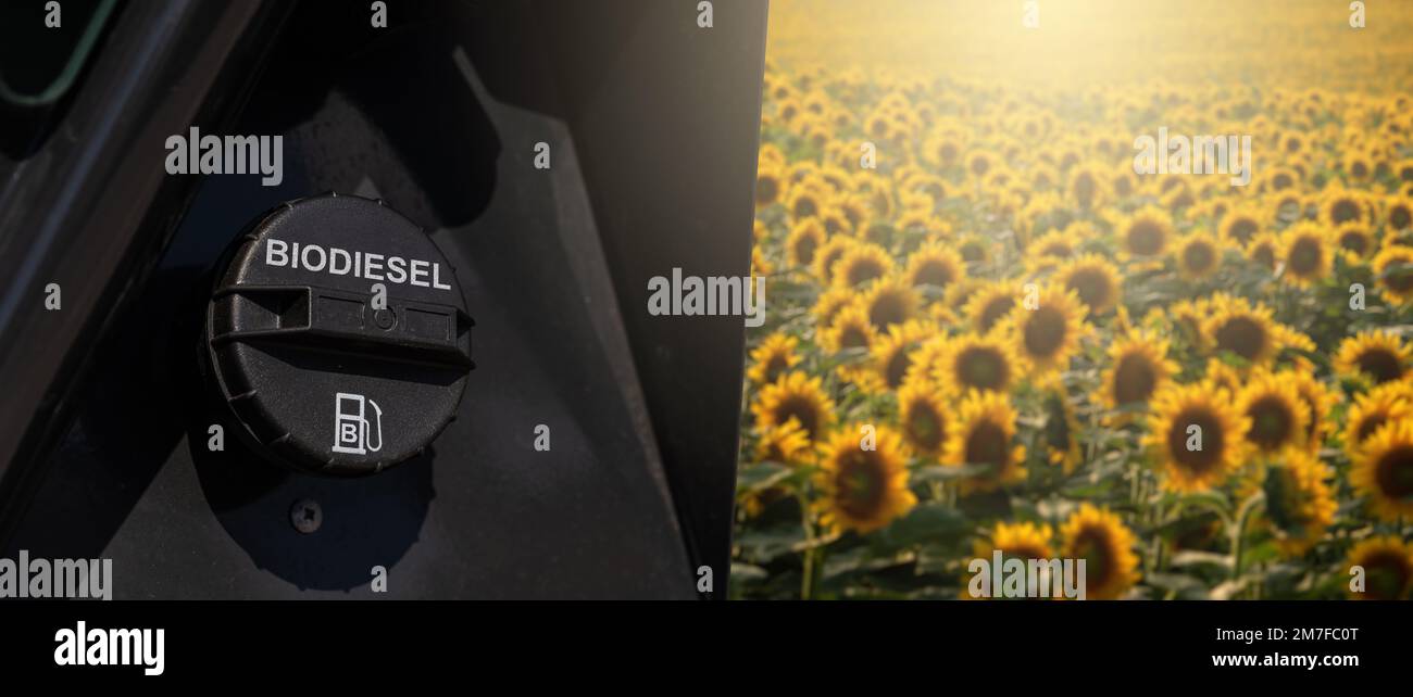 Biodiesel technology hi-res stock photography and images - Alamy