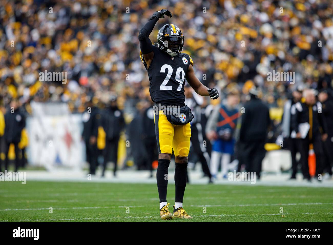 Pittsburgh Steelers cornerback Levi Wallace (29) attempts to pump up ...