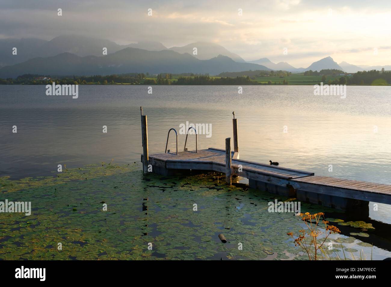 Bathing Jetty At The Hopfensee, Hopfen Am See, Allgäu, Bavaria, Germany ...
