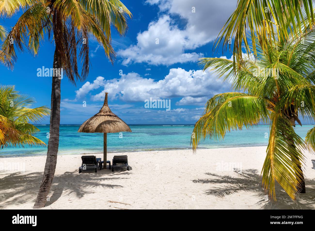 Mauritius and beach and palm hi-res stock photography and images - Alamy
