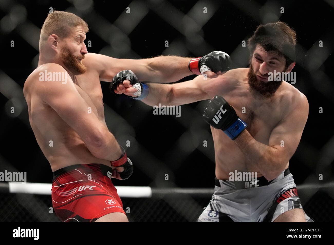 Jan Blachowicz, left, fights Magomed Ankalaev during a UFC 282 mixed ...
