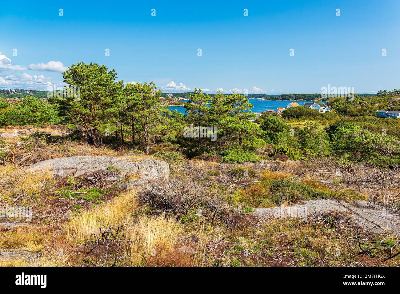 Landscape On The Island Of Merdø Near Arendal In Norway Stock Photo - Alamy
