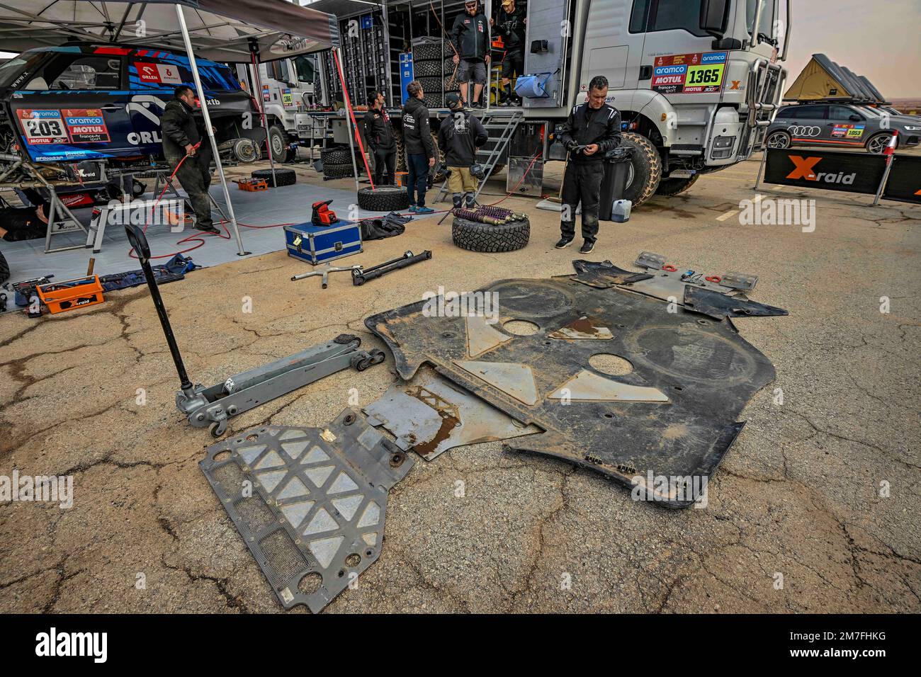 203 PRZYGONSKI Jakub (pol), MONLEON Armand (spa), X-Raid Mini JCW Team ...